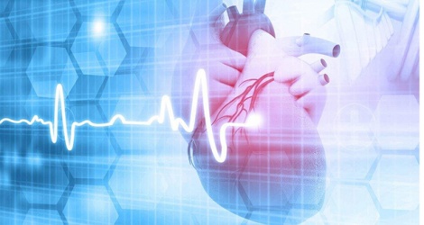 Những điều bạn cần biết về nhịp tim để giữ nhịp tim ổn định