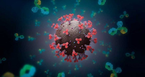 Tế bào miễn dịch T vẫn ngăn ngừa hiệu quả các biến thể phụ Omciron