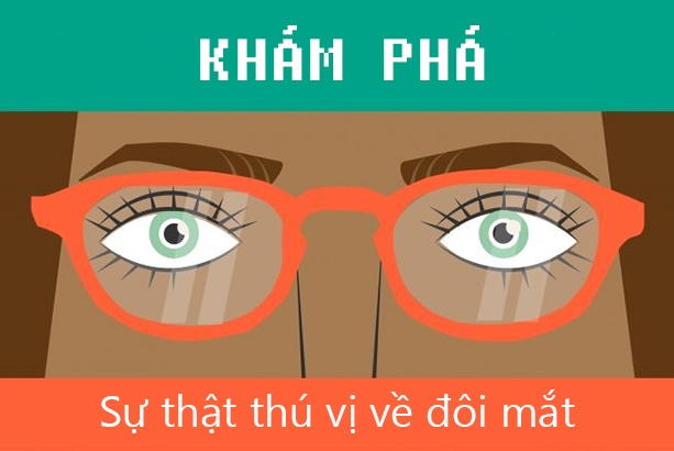 Khám phá thú vị và ngạc nhiên về sự thật sau đôi mắt